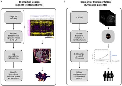 Frontiers | Next generation immuno-oncology tumor profiling using a ...