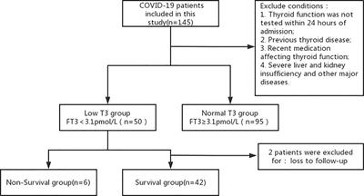 Frontiers | Transient low T3 syndrome in patients with COVID-19: a new ...