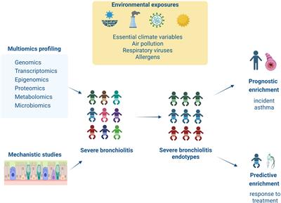 Frontiers | Editorial: Bridging the gap between immunology, virology ...