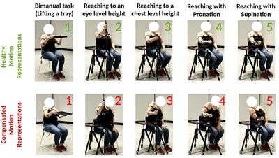 Frontiers | Online detection of compensatory strategies in human ...