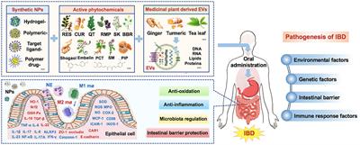 Frontiers | Medicinal plant-based drug delivery system for inflammatory ...