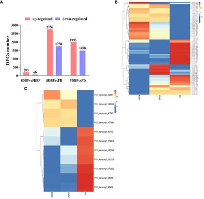 Frontiers | Comparative transcriptome analysis reveals the involvement ...
