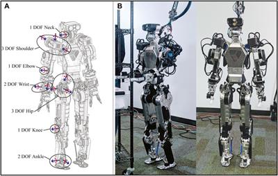 Frontiers | Control and evaluation of a humanoid robot with rolling ...