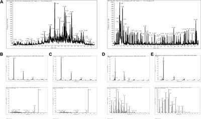Frontiers | Metabolomics-based discovery of XHP as a CYP3A4 inhibitor ...