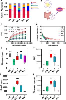 Frontiers | Ramulus mori (Sangzhi) alkaloids regulates gut microbiota ...