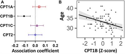 Frontiers | Increasing maternal age associates with lower placental ...