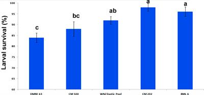 Frontiers | Role of morphological traits and cell wall components in ...