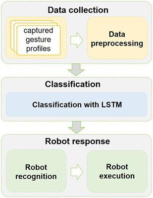 Frontiers | A multimodal human-robot sign language interaction ...