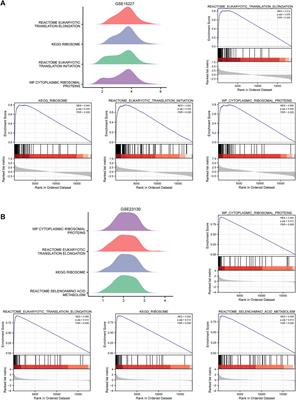 Frontiers | Identification of novel gene signatures and immune cell ...