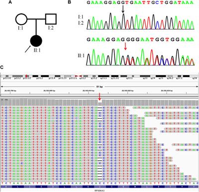 Frontiers | Establishment of linkage phase, using Oxford Nanopore ...