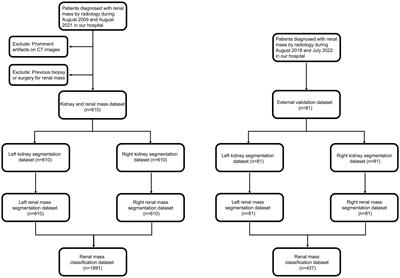 Frontiers | Automatic renal mass segmentation and classification on CT ...