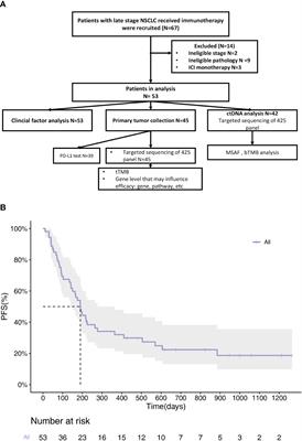 Frontiers | RB1 aberrations predict outcomes of immune checkpoint ...