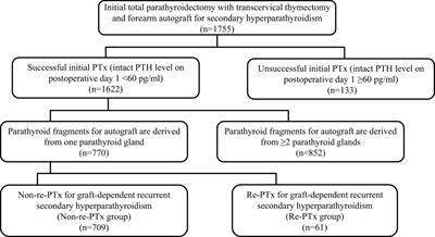 Frontiers | Maximal parathyroid gland diameter as a predictive factor ...