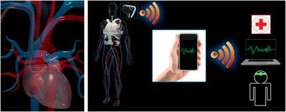 Frontiers | Editorial: Physiology in extreme conditions: Adaptations ...