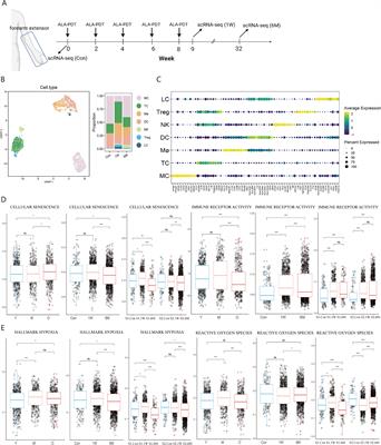 Frontiers | Single cell transcriptome profiling reveals cutaneous ...