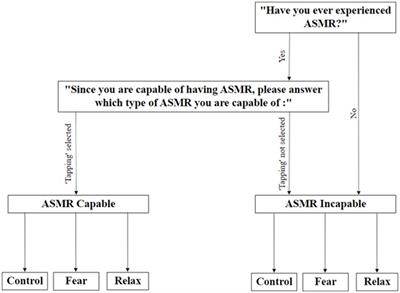 Frontiers | Autonomous sensory Meridian response as a physically felt ...