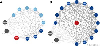 Frontiers | Altered hair root gene expression profiles highlight ...