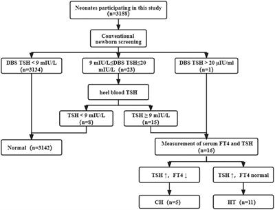 Frontiers | Combined genetic screening and traditional newborn ...