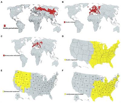 Frontiers | Geographical distribution and pathogenesis of ticks and ...