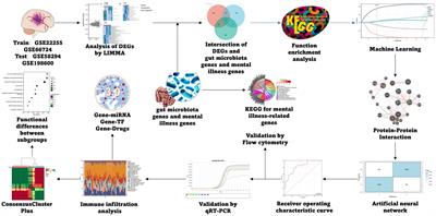 Frontiers | Predictive model, miRNA-TF network, related subgroup ...
