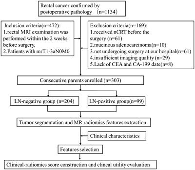 Frontiers | Effects of MRI radiomics combined with clinical data in ...