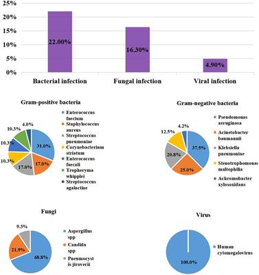 Frontiers | Coinfection and superinfection in ICU critically ill ...