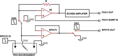 Frontiers in Signal Processing | Biomedical Signal Processing