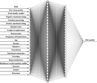 Frontiers | Deep neural network for prediction of diet quality among ...
