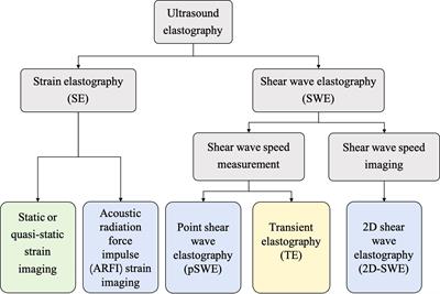 Frontiers | Artificial intelligence - based ultrasound elastography for ...