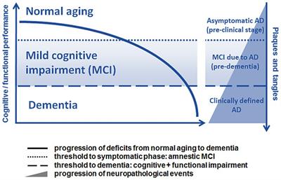 Frontiers | Eye-tracking paradigms for the assessment of mild cognitive ...