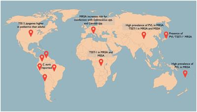 Frontiers | Novel evidence on sepsis-inducing pathogens: from ...