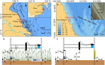 Frontiers | Erosion and accretion of salt marsh in extremely shallow ...