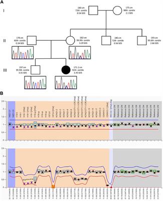Frontiers | Case report: atypical Silver-Russell syndrome patient with ...