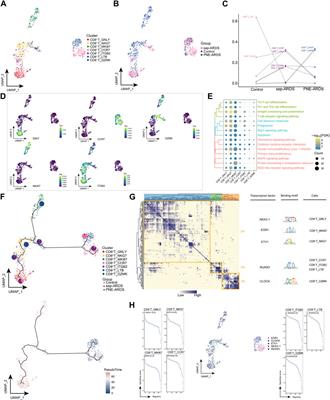 Frontiers | Single-cell analysis reveals dysregulated inflammatory ...