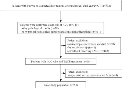 Frontiers | Survival prediction of hepatocellular carcinoma by ...