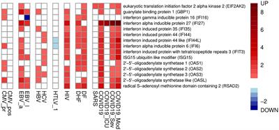 Frontiers | Transcriptome-based analysis of human peripheral blood ...