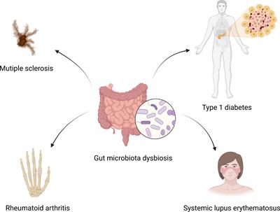 Frontiers | Gut microbiota: a newly identified environmental factor in ...