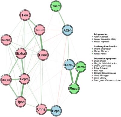 Frontiers | Network analysis of cold cognition and depression in middle ...