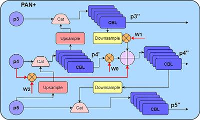Frontiers | An improved YOLO v4 used for grape detection in ...