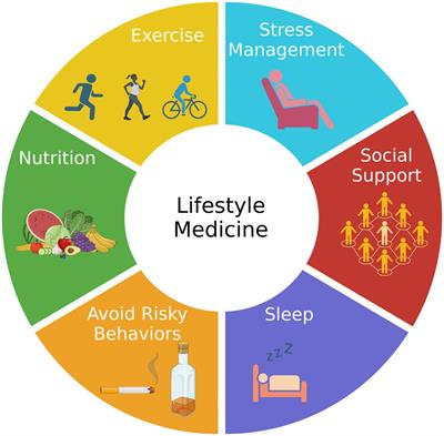 Frontiers | Diet and lifestyle impact the development and progression ...