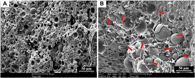 Frontiers | Hollow glass microspheres/phenolic syntactic foams with ...