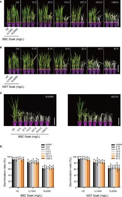 Frontiers | Utilizing differences in bTH tolerance between the parents ...