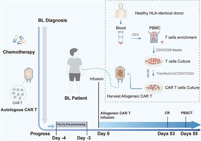 Frontiers | Case Report: Unedited allogeneic chimeric antigen receptor ...
