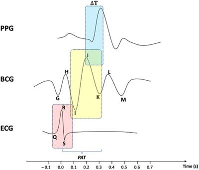 Frontiers | Heart rate estimation from ballistocardiogram signals ...