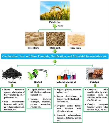 Frontiers | Sustainable application of rice-waste for fuels and ...