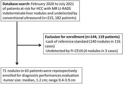 Frontiers | FI-CEUS: a solution to improve the diagnostic accuracy in ...