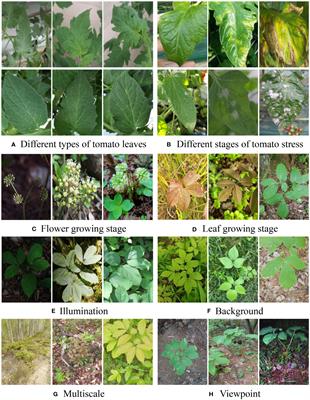 Frontiers | Embracing limited and imperfect training datasets ...