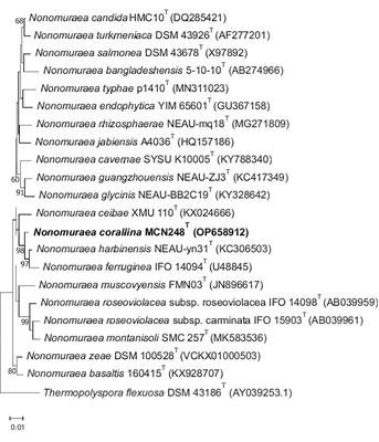 Frontiers | Nonomuraea corallina sp. nov., isolated from coastal ...