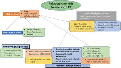 Frontiers | Determinants of tuberculosis: an example of high ...