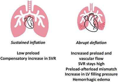 Frontiers | Role of cardiopulmonary interactions in development of ...